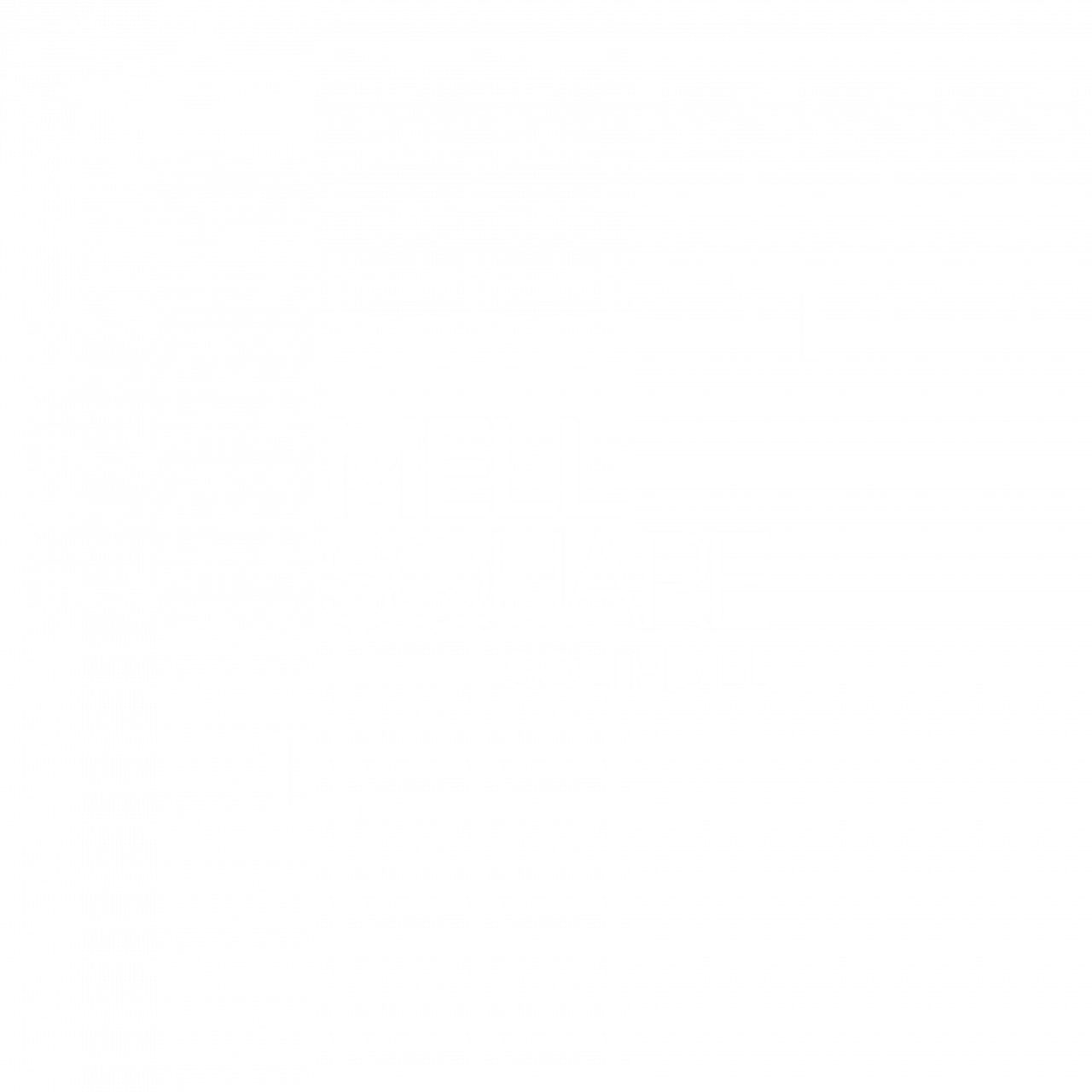 Eureka! Research - Case study: Mell Square Shopping Centre
