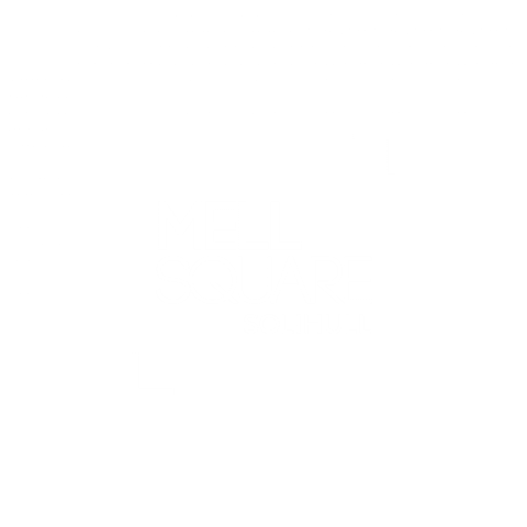 Eureka! Research - Case study: Mell Square Shopping Centre